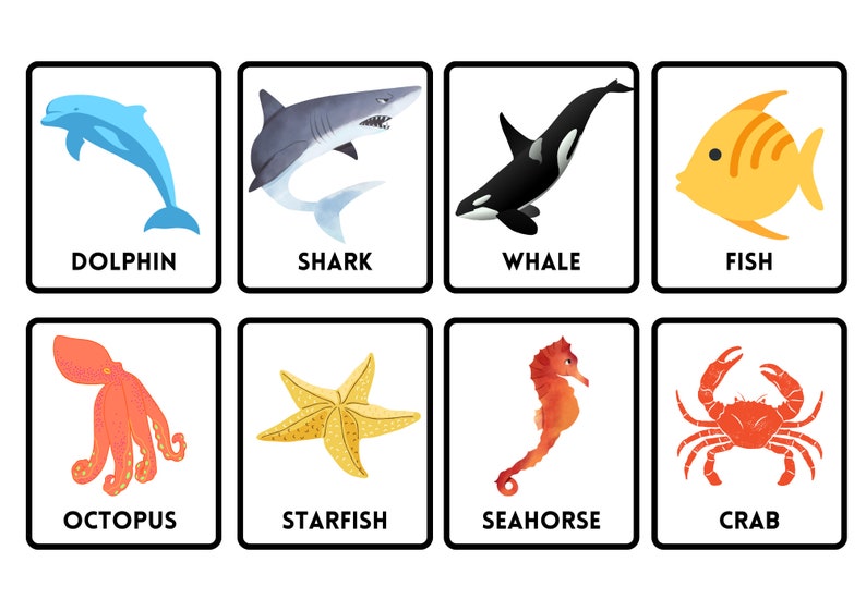 Sea Animals Flashcards Kids Educational Flashcards - Etsy