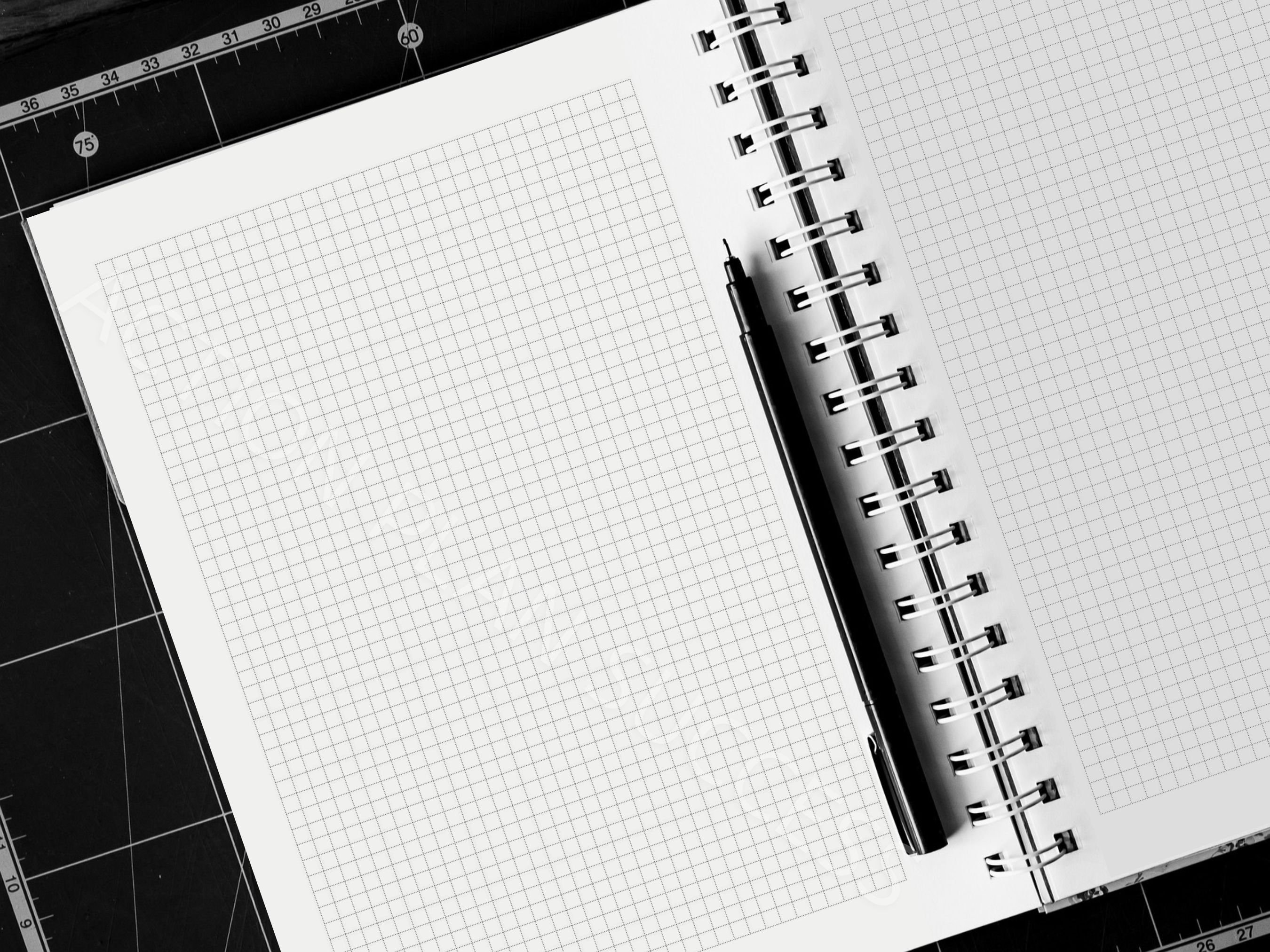 Digital Grid Paper, Printable Graph Planner Inserts, Downloadable PDF ...