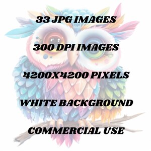 Owl Oddities: 33 Cute, Quirky and Colorful Funny Owls Clipart Bundle ...