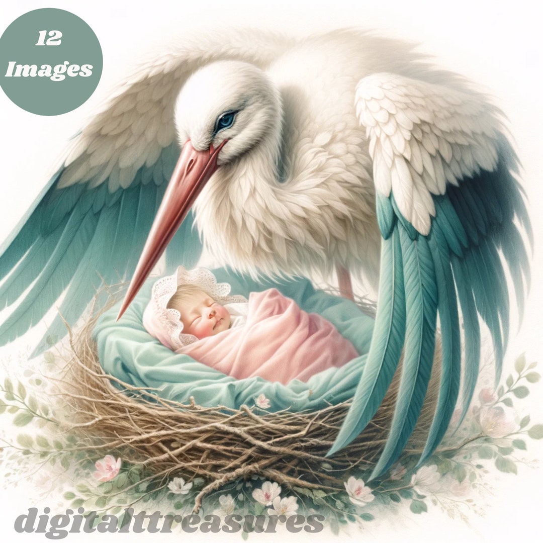 Stork Baby Clipart Bundle: Nursery Art Images (digital Download) - Etsy UK