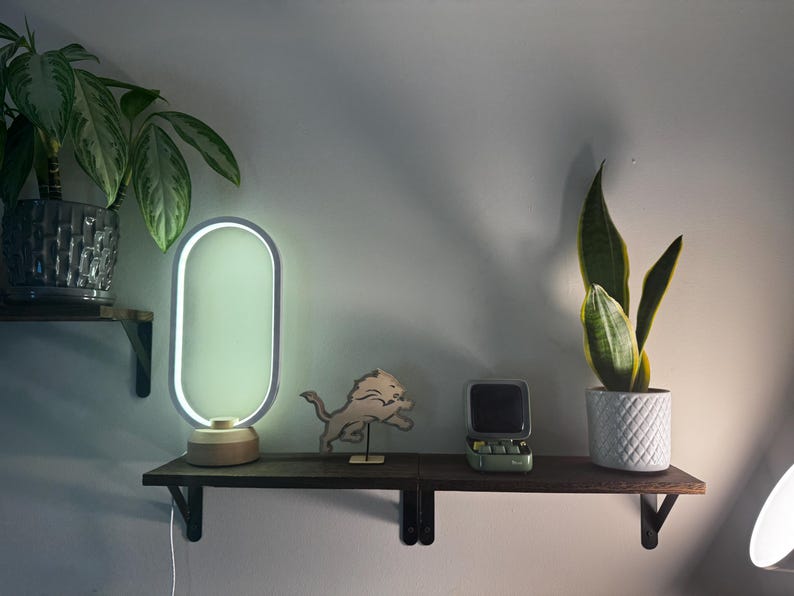 Lions Desk Decor - Etsy