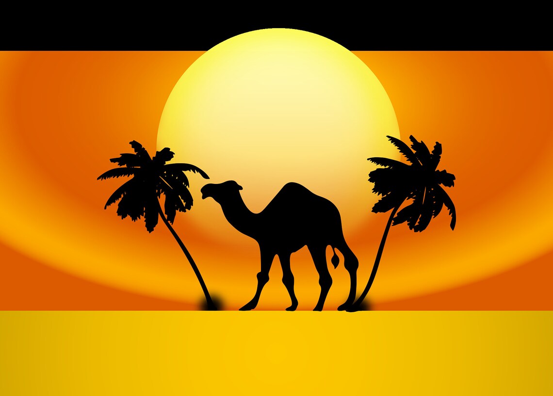 Digital Print Coconut Tree With Camel for T-shirt and Hoodies for Men ...