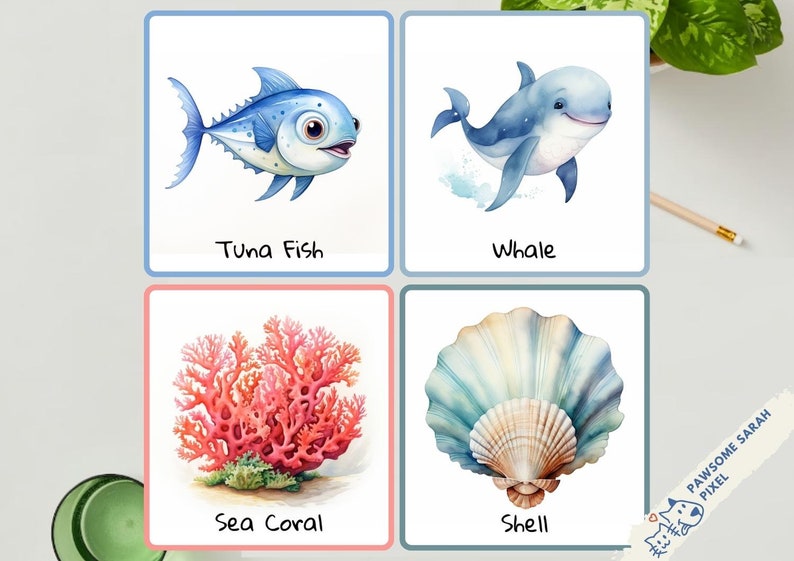 22 Ocean Animals Cards, Montessori Flash Cards, Pre-school Cards ...