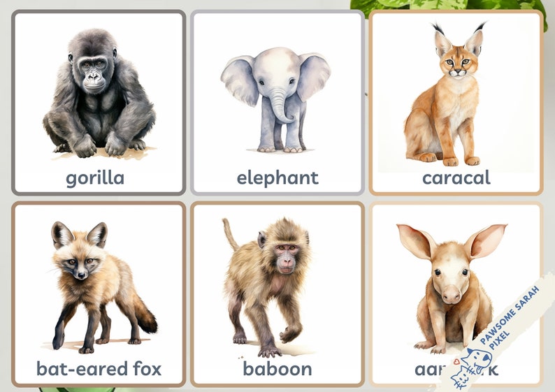 Printable Safari Animal, Classroom Decor, Toddlers Preschool Early ...