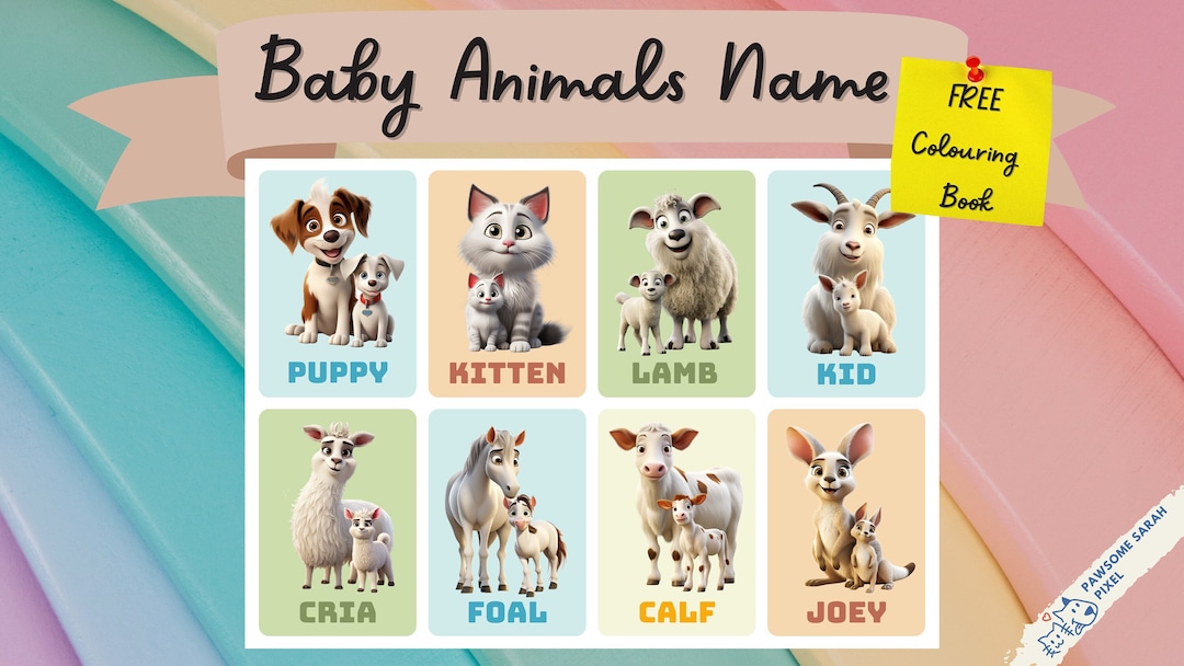 Baby Animals Cardsmontessori Flash Cardsflash Cards - Etsy