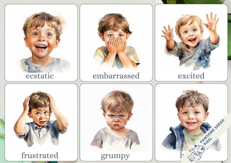 Feelings Flash Cards, Emotions Chart, Montessori Materials, Homeschool ...