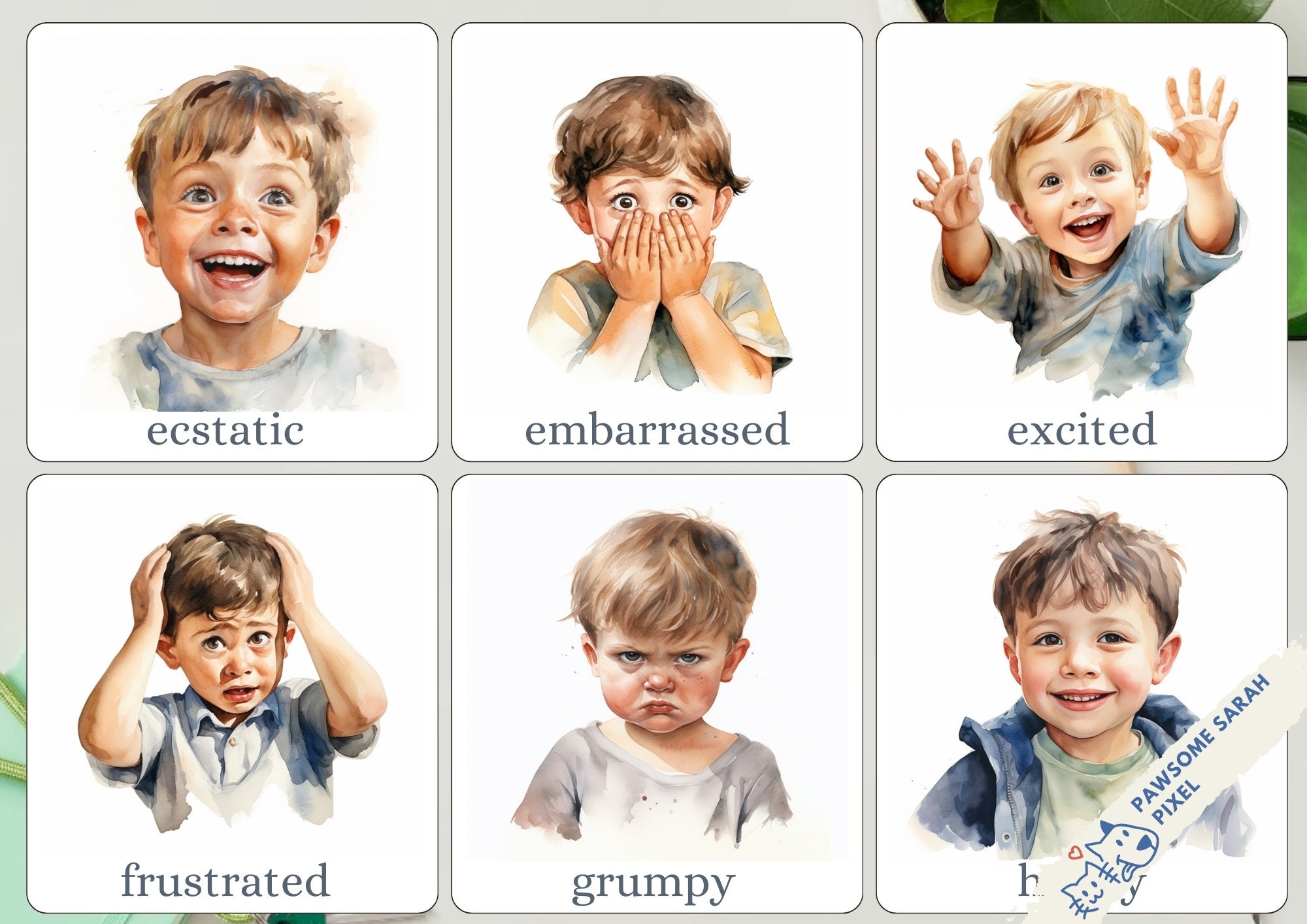 Feelings Flash Cards, Emotions Chart, Montessori Materials, Homeschool ...