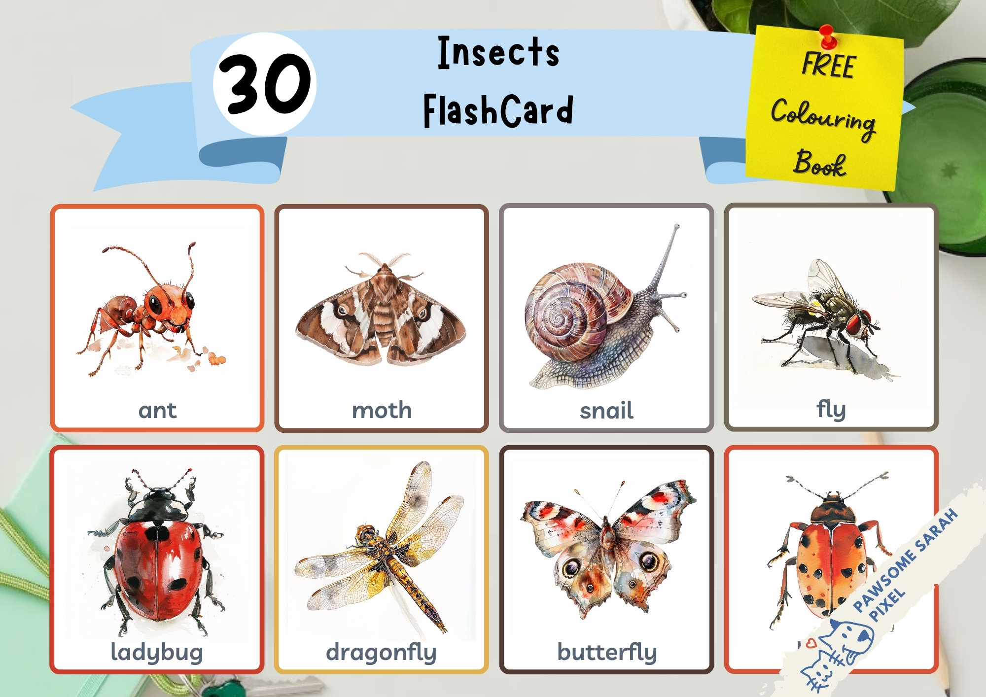 30 Insects Flash Cards, Montessori Flash Cards, Pre-school Cards ...