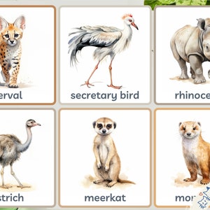 Printable Safari Animal, Classroom Decor, Toddlers Preschool Early ...