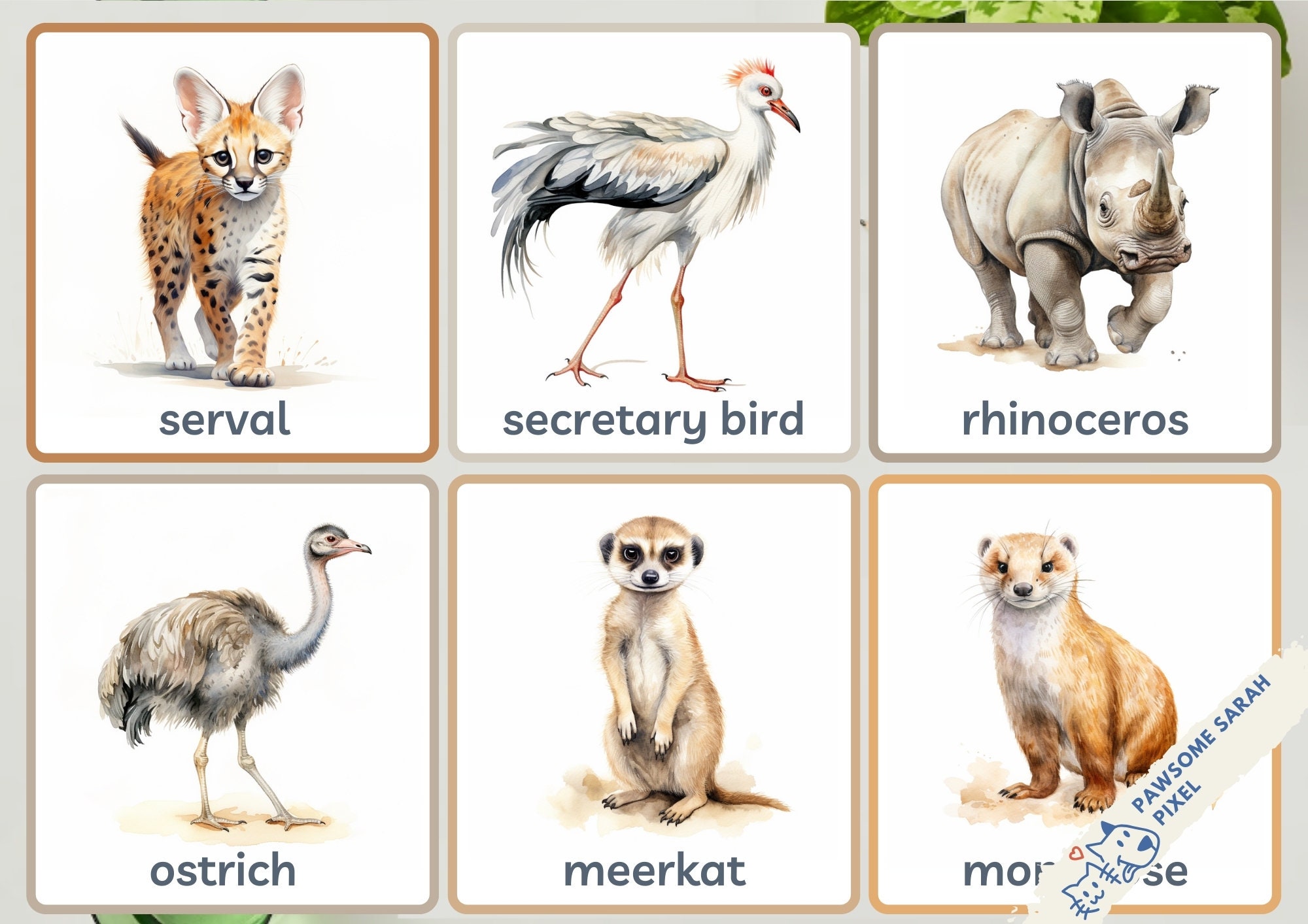 Printable Safari Animal, Classroom Decor, Toddlers Preschool Early ...