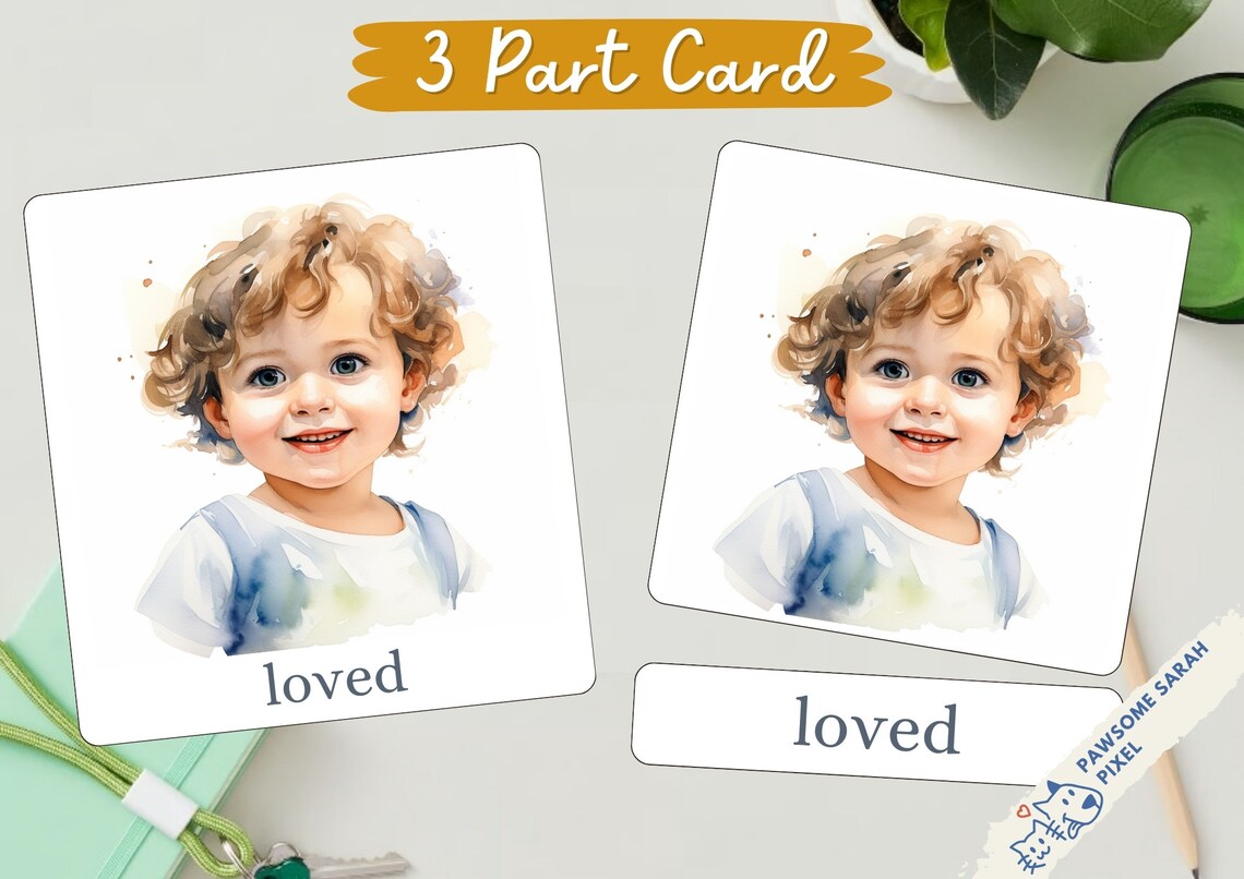 Feelings Flash Cards, Emotions Chart, Montessori Materials, Homeschool ...