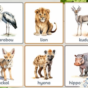 Printable Safari Animal, Classroom Decor, Toddlers Preschool Early ...