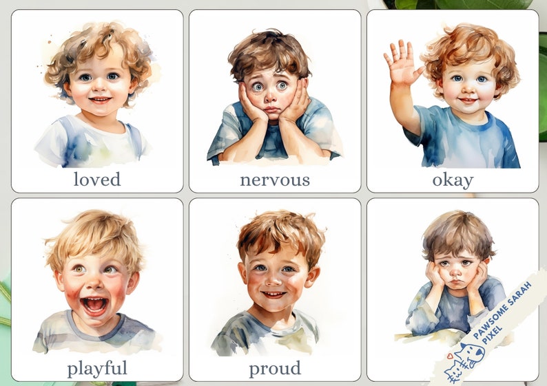 Feelings Flash Cards, Emotions Chart, Montessori Materials, Homeschool ...