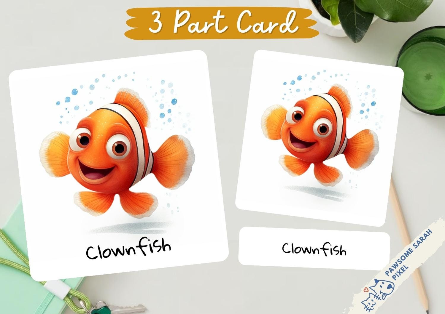 22 Ocean Animals Cards, Montessori Flash Cards, Pre-school Cards ...