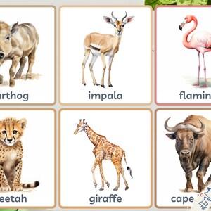Printable Safari Animal, Classroom Decor, Toddlers Preschool Early ...