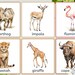 Printable Safari Animal, Classroom Decor, Toddlers Preschool Early ...