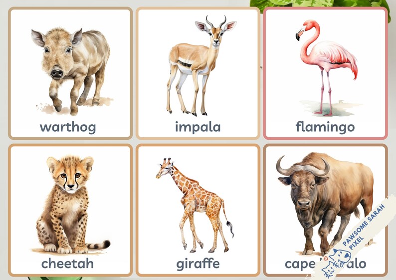 Printable Safari Animal, Classroom Decor, Toddlers Preschool Early ...