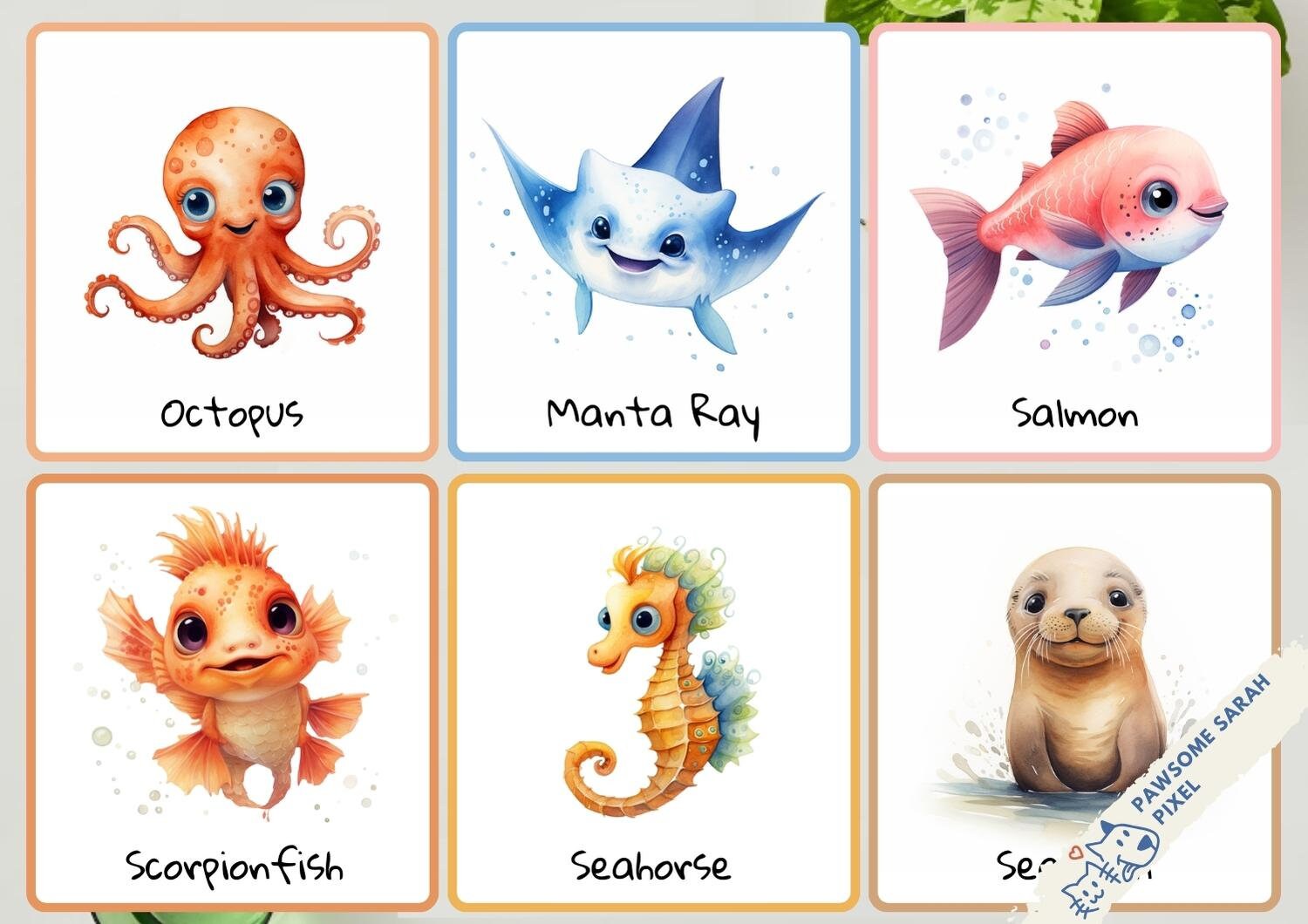 22 Ocean Animals Cards, Montessori Flash Cards, Pre-school Cards ...