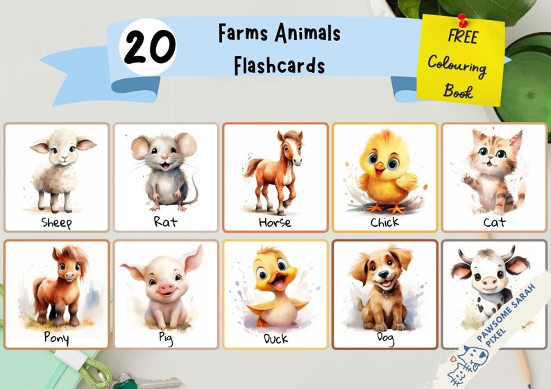 20 Farm Animals Cards, Montessori Flash Cards, Pre-school Cards ...