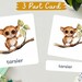30 Rainforest Animals Flash Cards, Jungle Animals Flash Cards ...