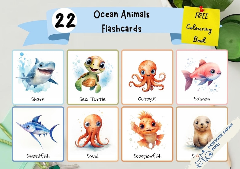 22 Ocean Animals Cards, Montessori Flash Cards, Pre-school Cards ...