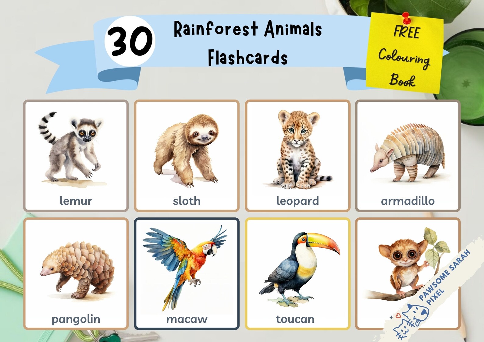 30 Rainforest Animals Flash Cards, Jungle Animals Flash Cards ...