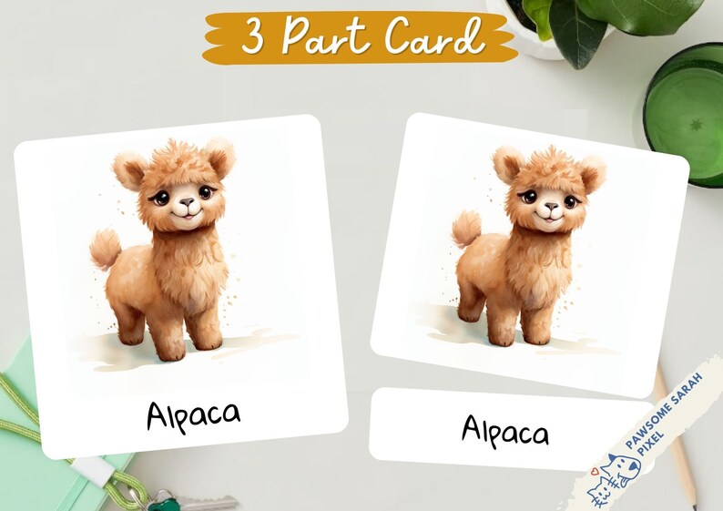 20 Farm Animals Cards, Montessori Flash Cards, Pre-school Cards ...