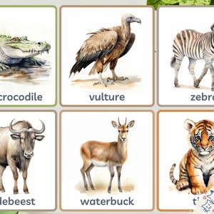 Printable Safari Animal, Classroom Decor, Toddlers Preschool Early ...