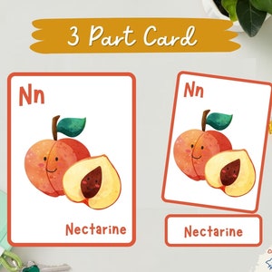 Printable Fruit Vegetable Alphabet Flash Cards, Classroom Decor ...