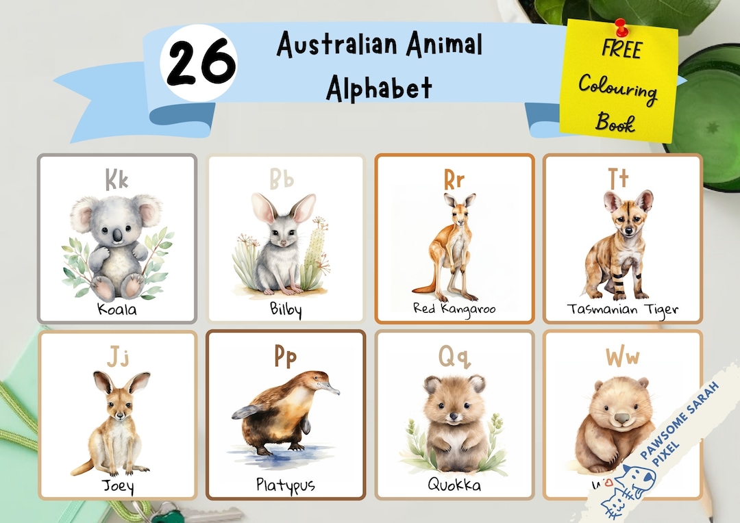 Tarjetas flash imprimibles del alfabeto de animales australianos ...