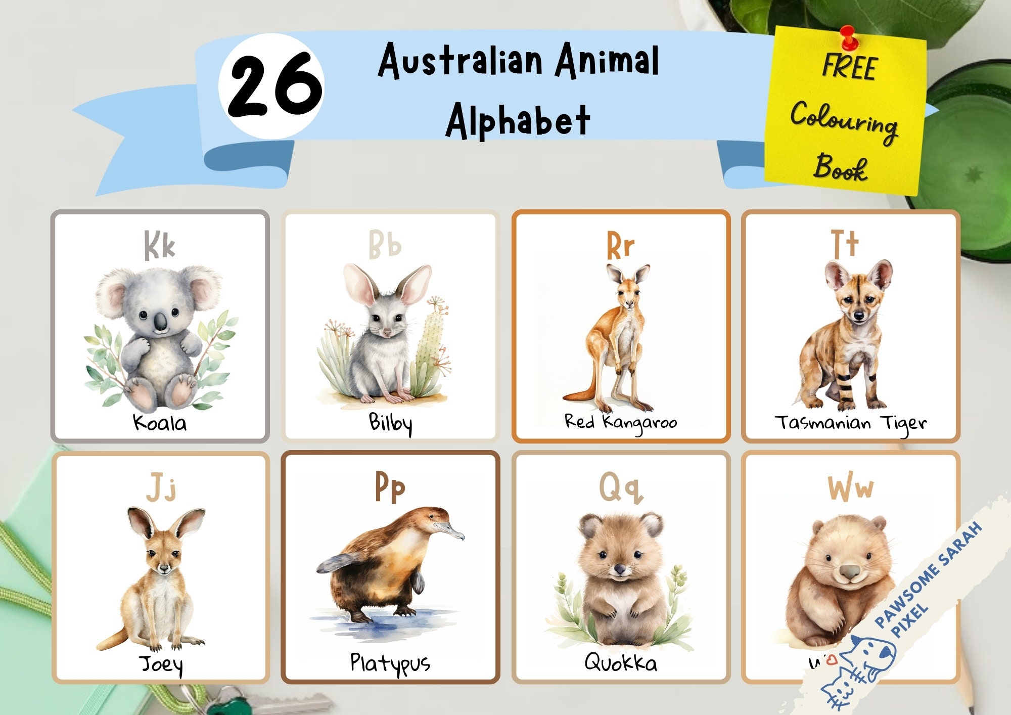 Printable Australian Animal Alphabet Flash Cards,classroom Decor ...