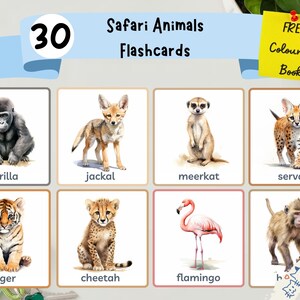 Printable Safari Animal, Classroom Decor, Toddlers Preschool Early ...