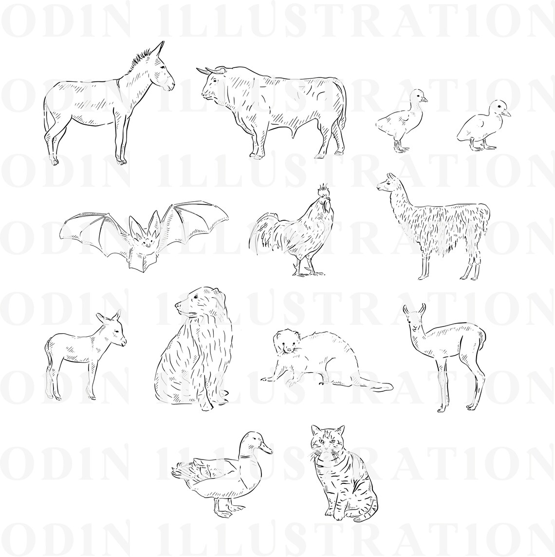 Farm Animal Line Drawn Clipart, 40 Png, Svg, Dxf & Eps Files at 300 Dpi ...