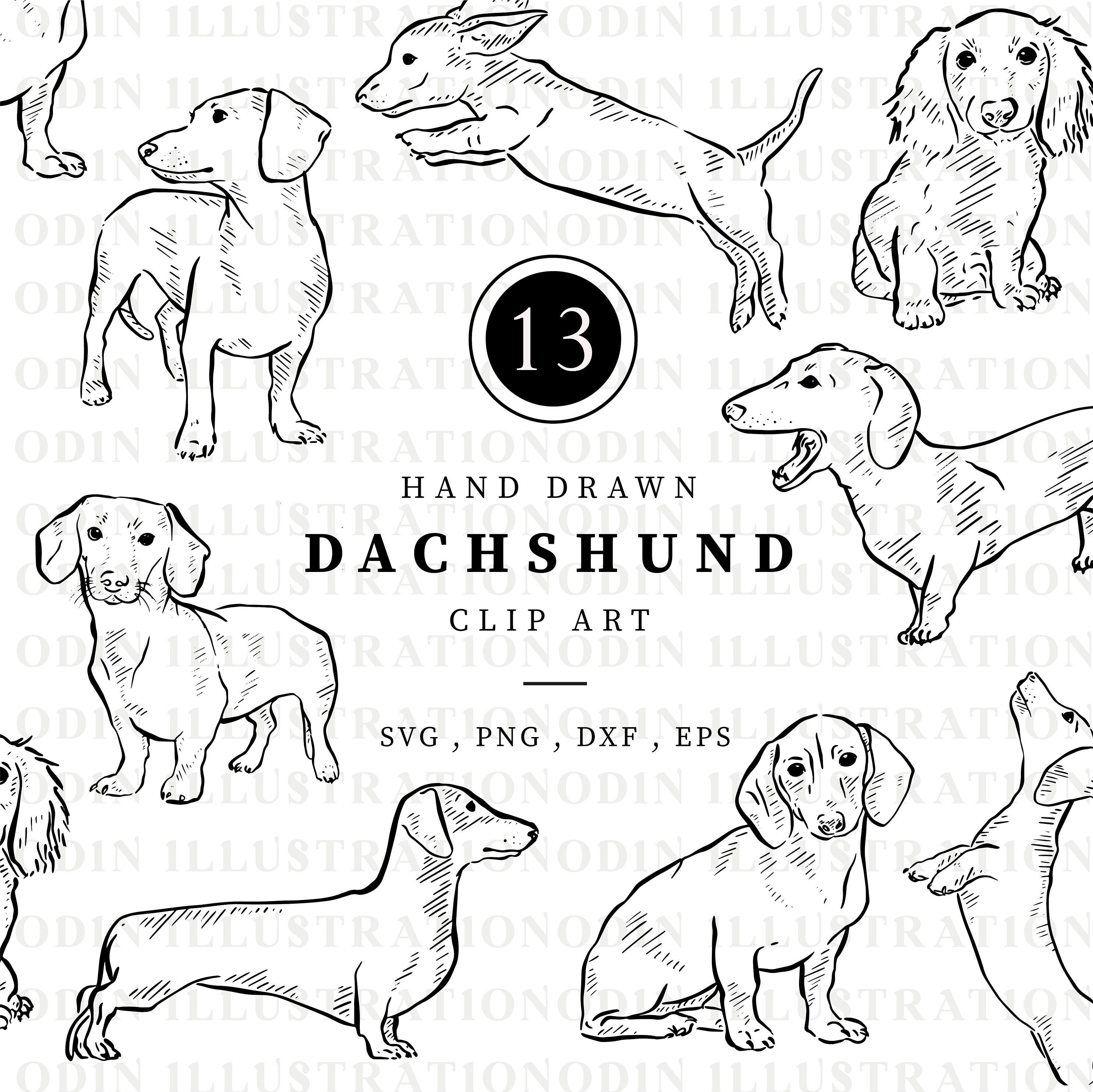 Dachshund Digital Download, 13 Hand Drawn Black and White Line ...