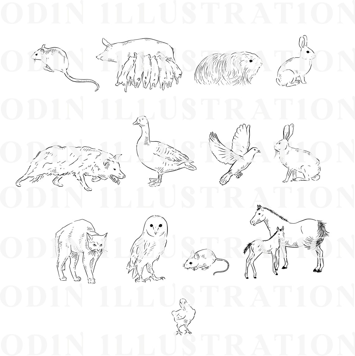Farm Animal Line Drawn Clipart, 40 Png, Svg, Dxf & Eps Files at 300 Dpi ...