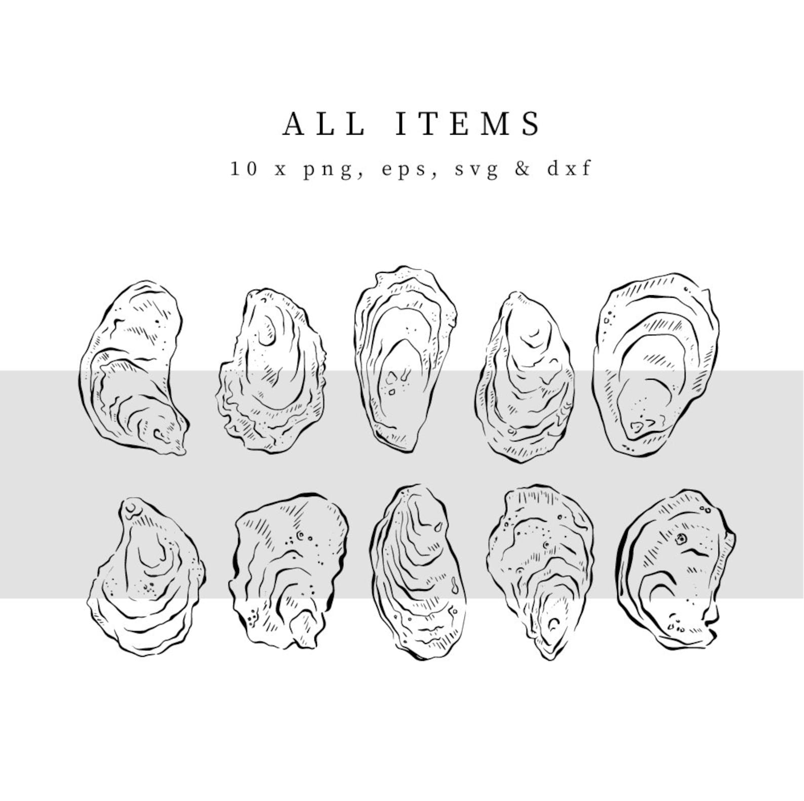 Oysters Line Drawn Clipart Bundle, Shellfish Illustrations, Instant ...