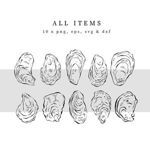 Oysters Line Drawn Clipart Bundle, Shellfish Illustrations, Instant ...