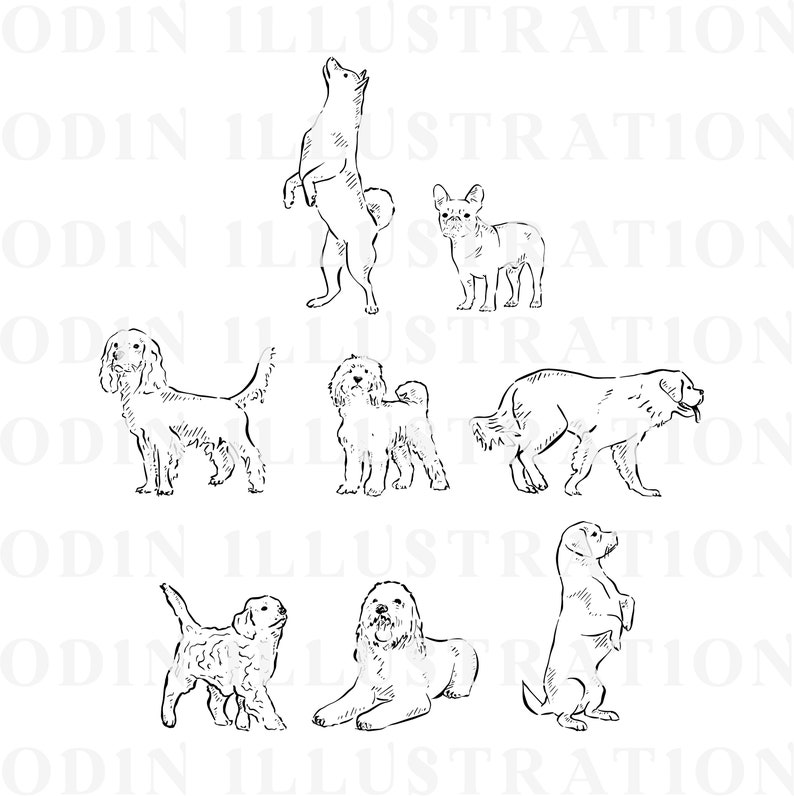 Dogs Line Drawn Clipart, 30 Png, Svg, Dxf Eps Vector Files, Pooches ...