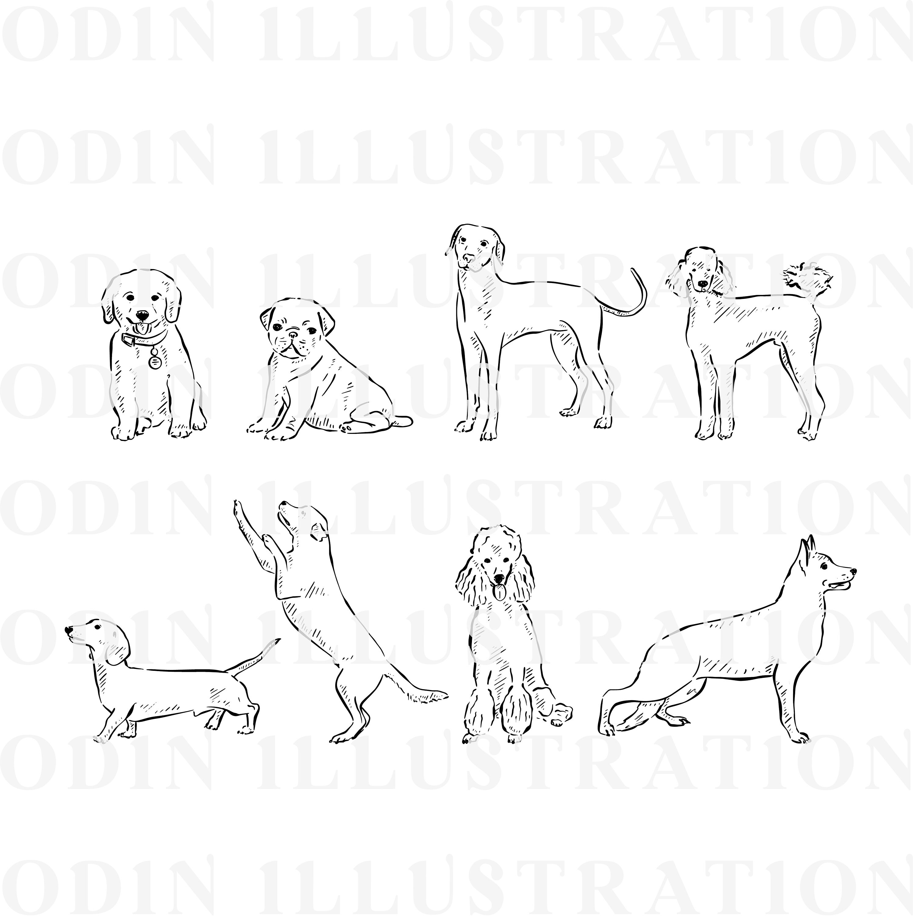 Dogs Line Drawn Clipart, 30 Png, Svg, Dxf Eps Vector Files, Pooches ...