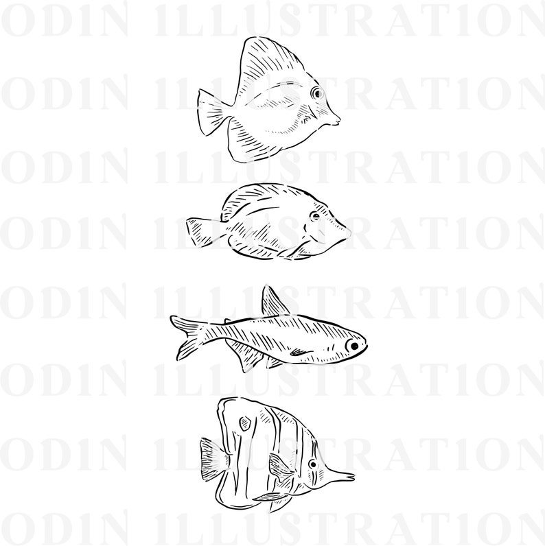 Tropical Fish Clipart, Hand Drawn Fish and Coral, Black & White Line ...