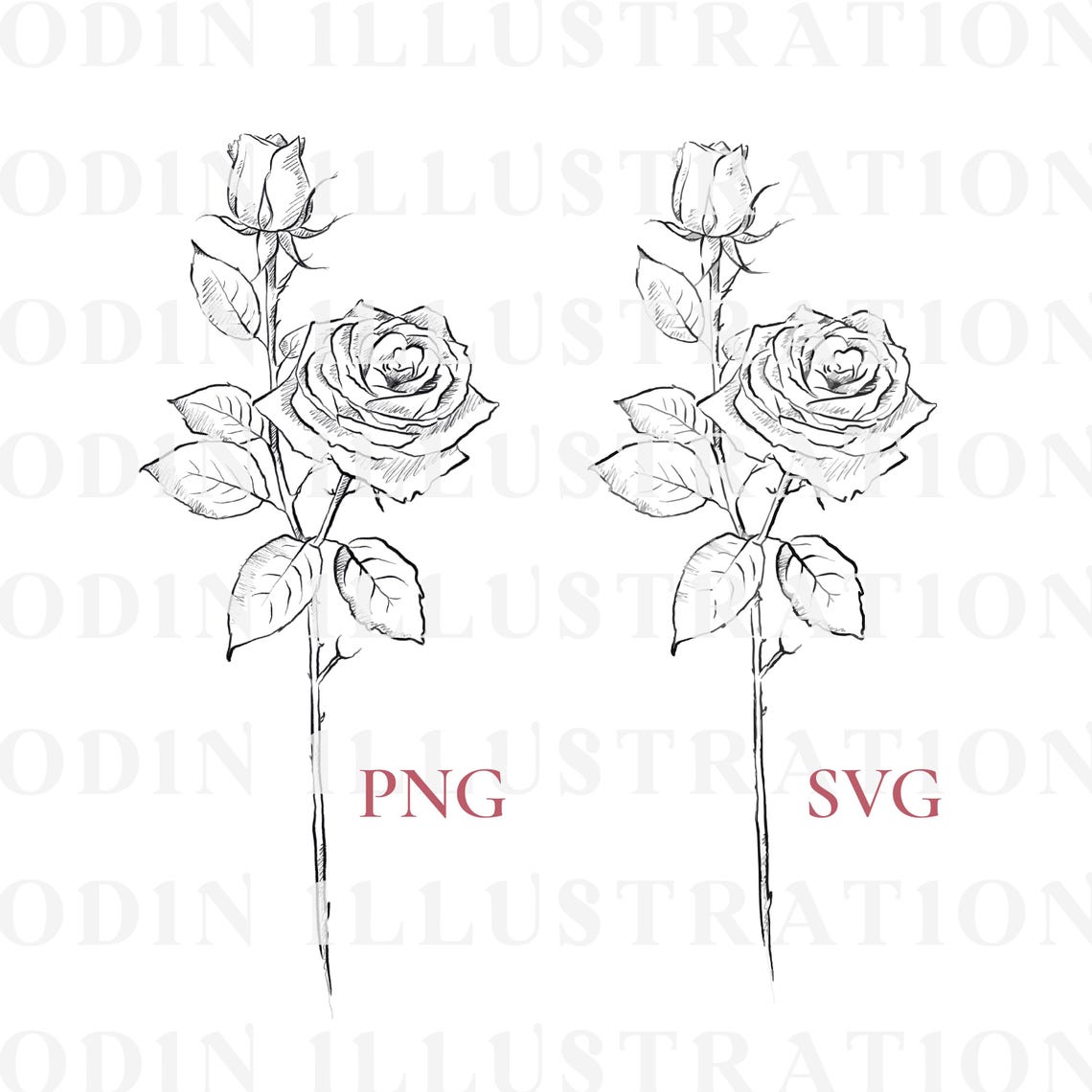 Hand Sketched Roses, Line Drawn Wedding Florals, Flowers Digital ...