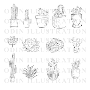 Cactus Clipart, House Plant Digital Download, Illustration Bundle, Line ...