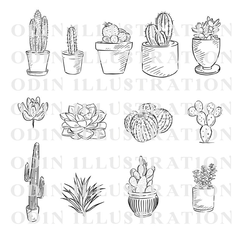 Cactus Clipart, House Plant Digital Download, Illustration Bundle, Line ...
