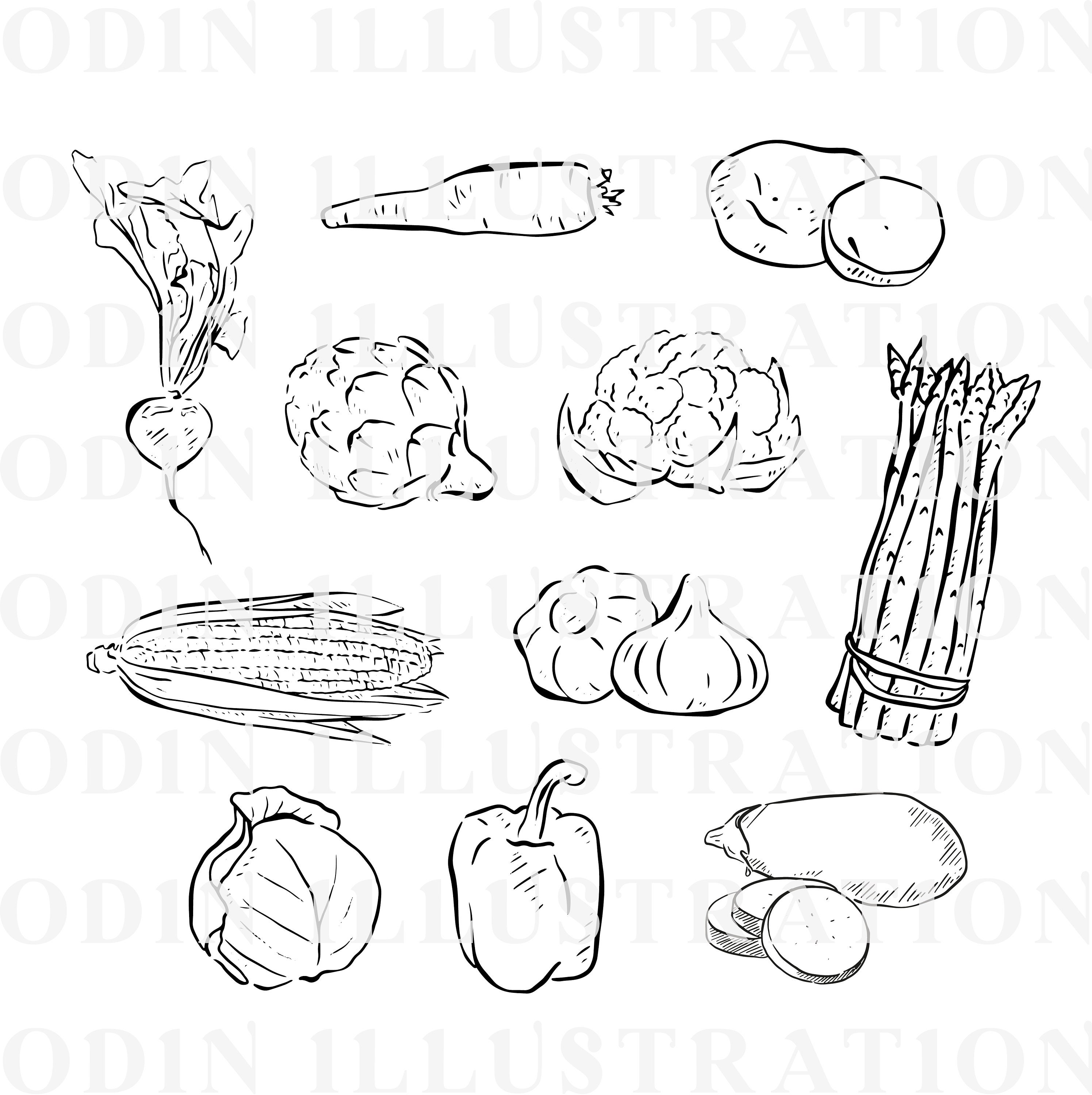 Vegetables Line Drawn Clipart, Black and White Digital Download, Png ...
