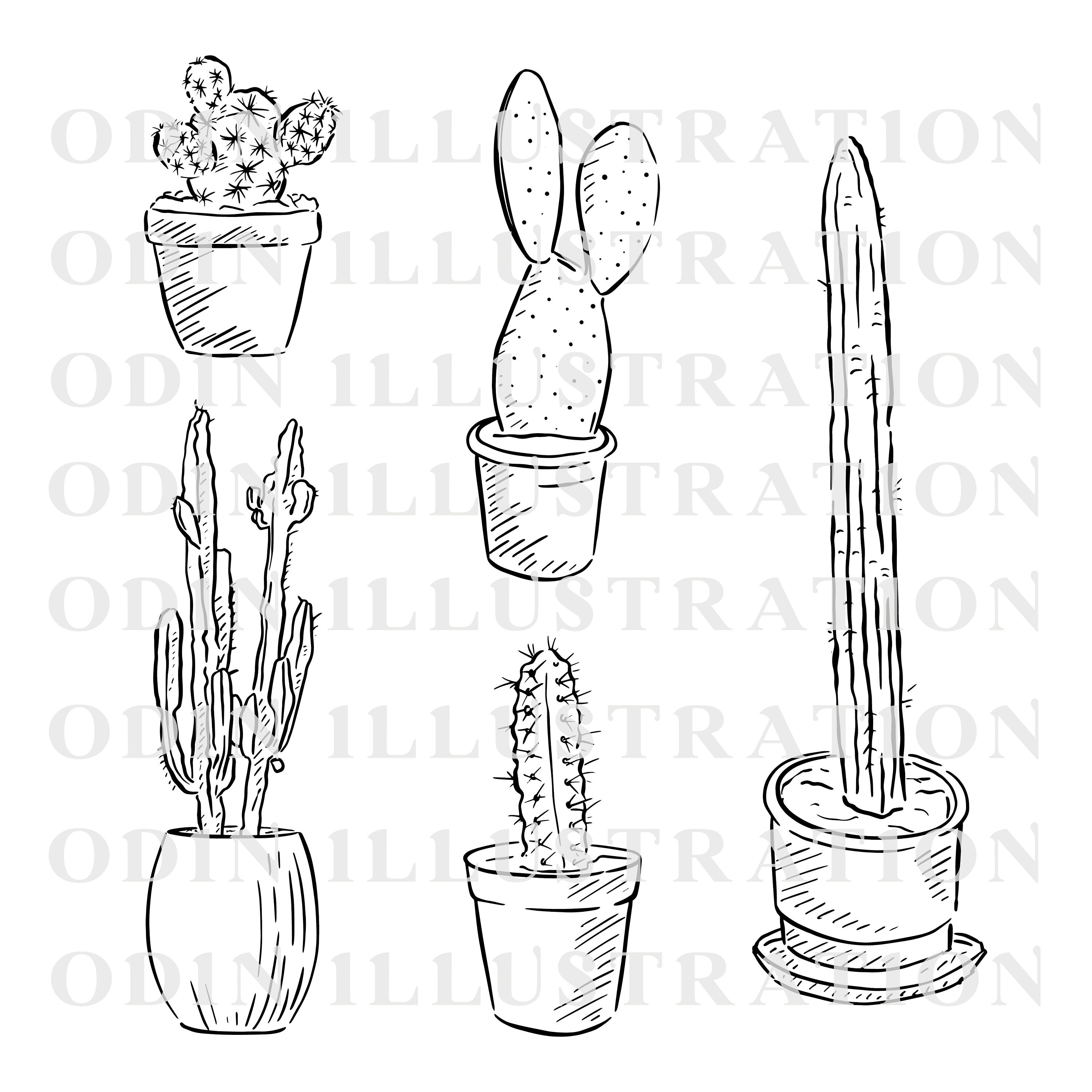Cactus Clipart, House Plant Digital Download, Illustration Bundle, Line ...