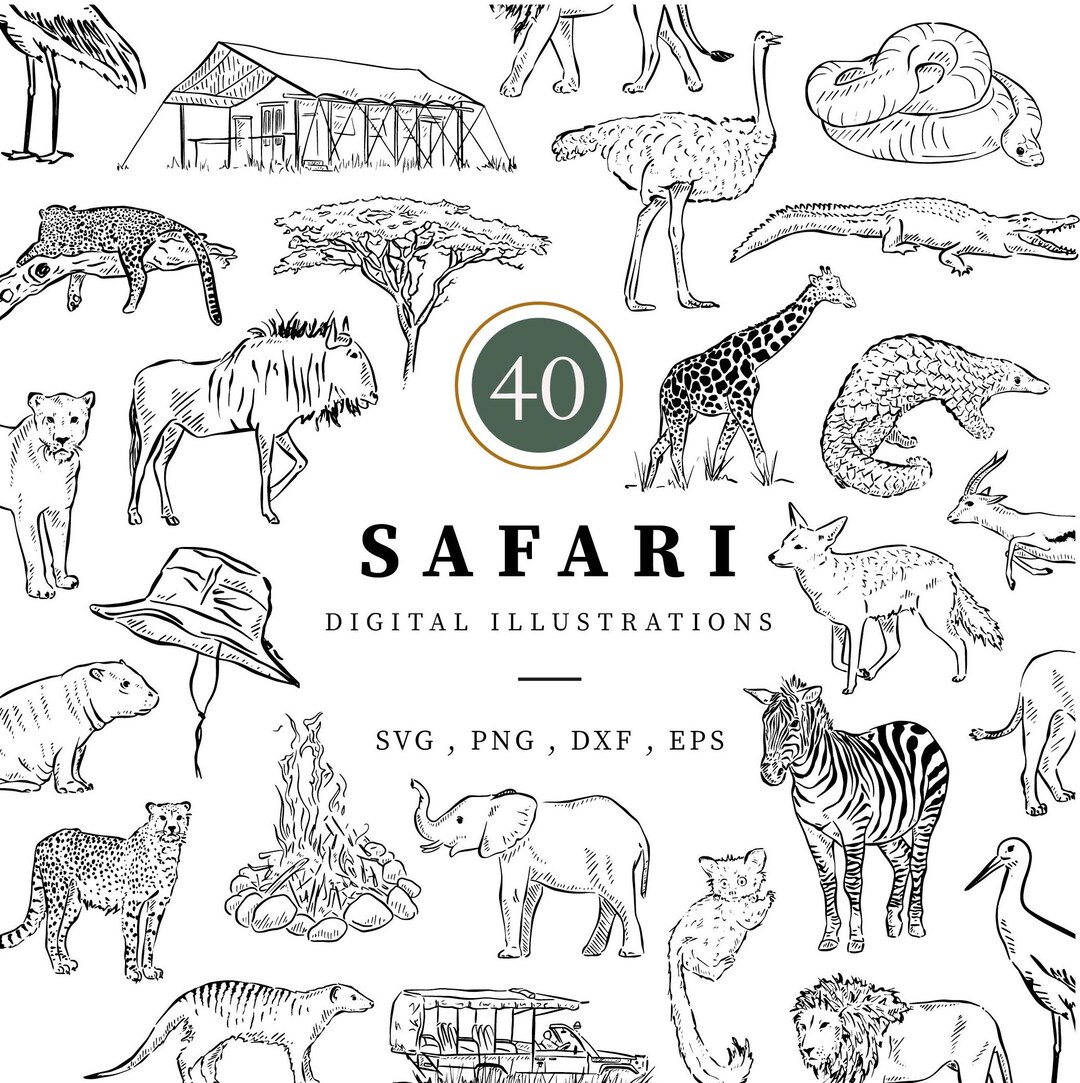 Safari Digital Illustrations, Line Drawn Clipart, 40 Png Files, Eps ...