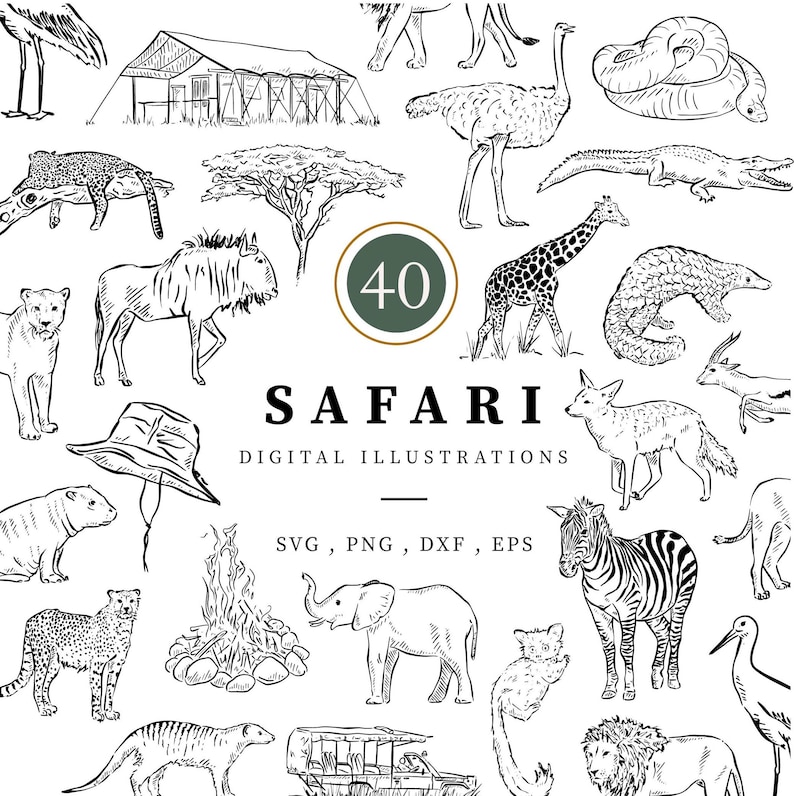 Safari Digital Illustrations, Line Drawn Clipart, 40 Png Files, Eps ...