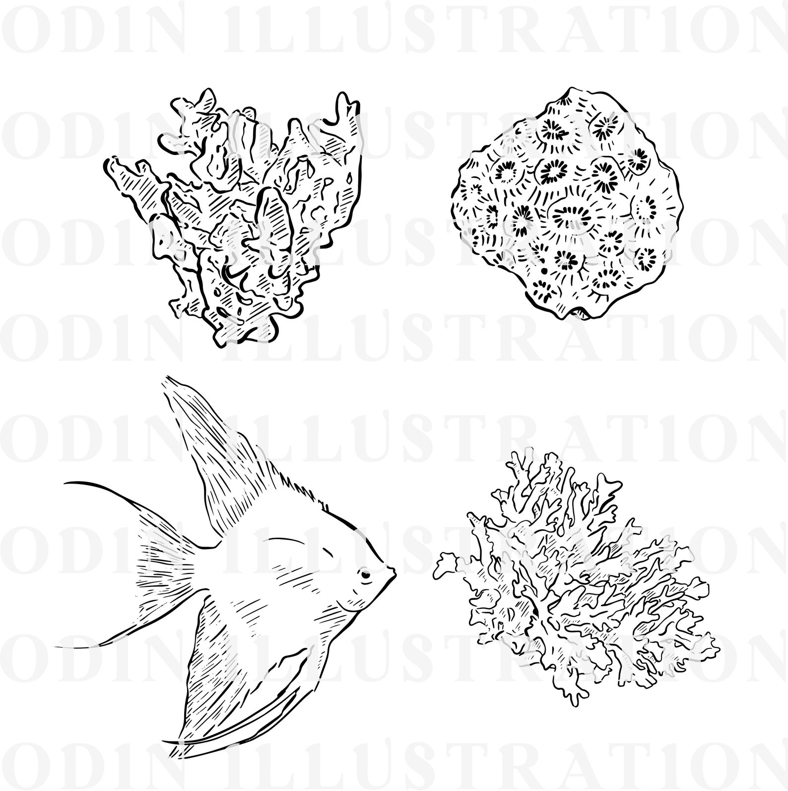 Tropical Fish Clipart, Hand Drawn Fish and Coral, Black & White Line ...