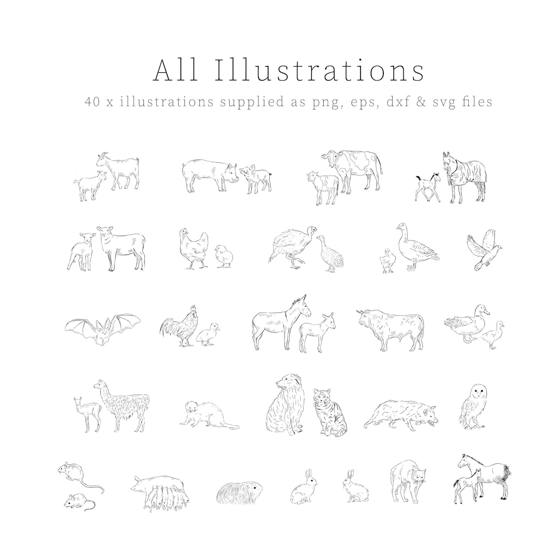 Farm Animal Line Drawn Clipart, 40 Png, Svg, Dxf & Eps Files at 300 Dpi ...