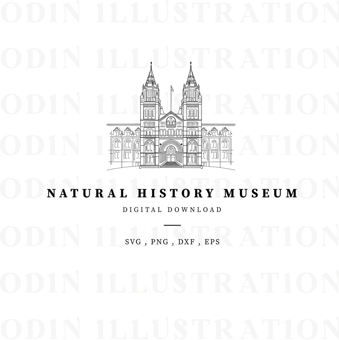Natural History Museum Digital Download, Instant Download Line Drawn ...
